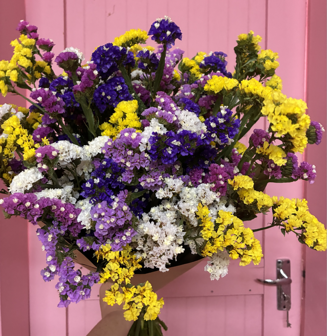Statice – Henns Flower Farm