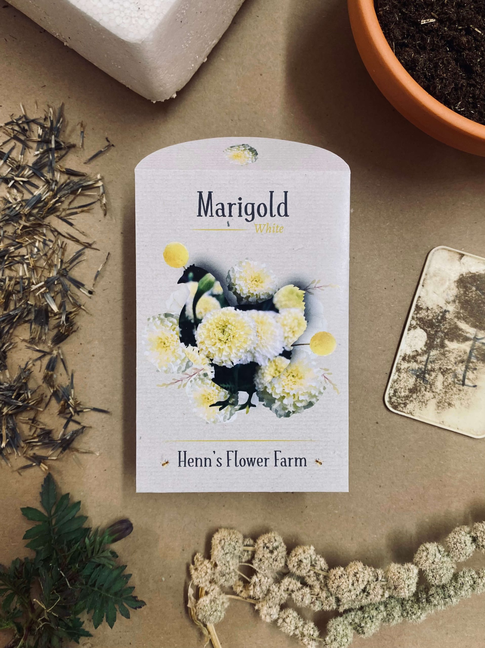 White Marigold Seeds – Henns Flower Farm
